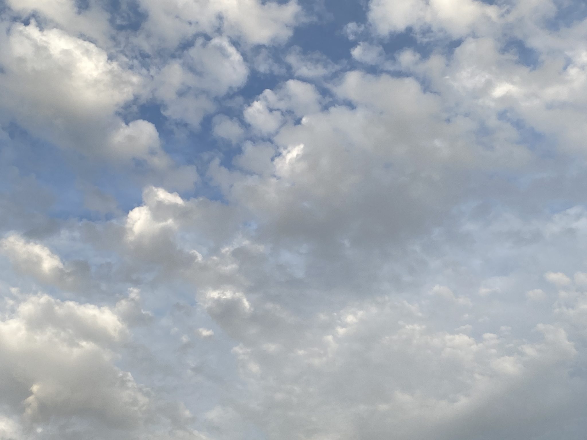 Cause Commune - Paris - 93.1 FM ⋆ La voix des possibles - 93.1FM